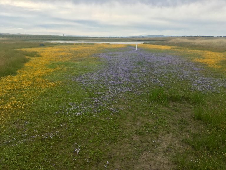 Montezuma Wetlands